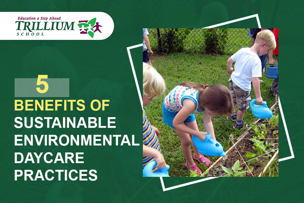 Daycare That Teaches the Value of Sustainable Activities